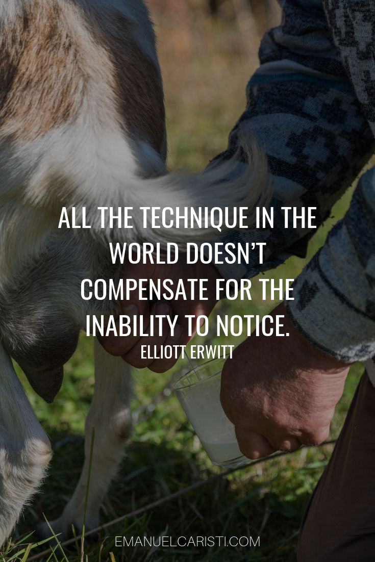 25 MOST INSPIRATIONAL PHOTOGRAPHY QUOTES – Instagram Feed & Bio ...